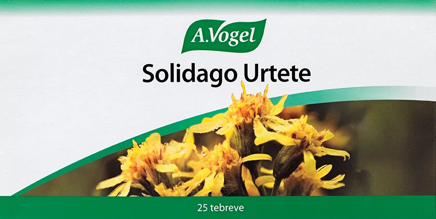solidago a vogel